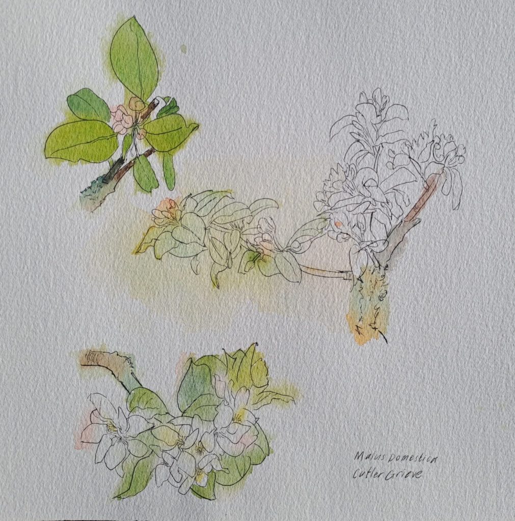 Peter Jones - Art Walk Projects